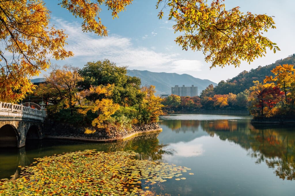 Best Things to Do in Daegu - Korea Web Magazine