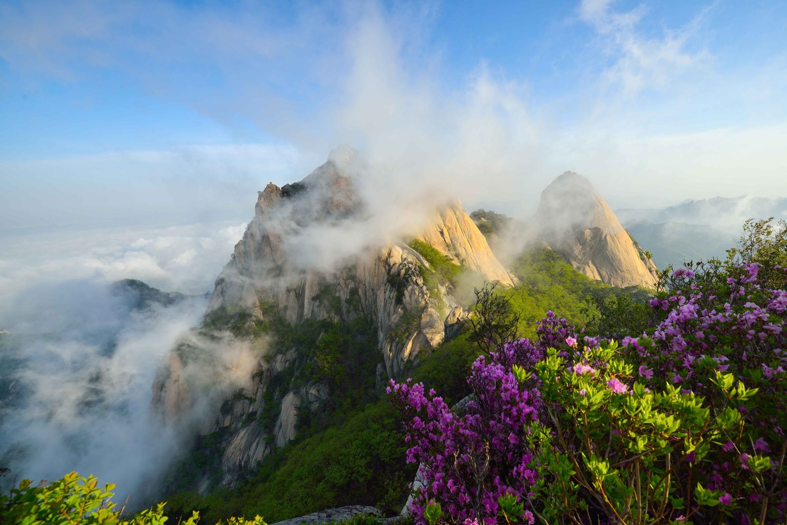 Top 15 Natural Wonders in Seoul: Exploring the City’s Hidden Green Gems ...